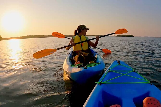 Kayaking the Canals of Venice, FL - Why This Tour Offers Great Value