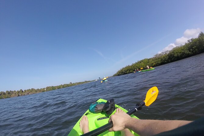 Kayaking the Canals of Venice, FL - Who Should Consider This Tour?