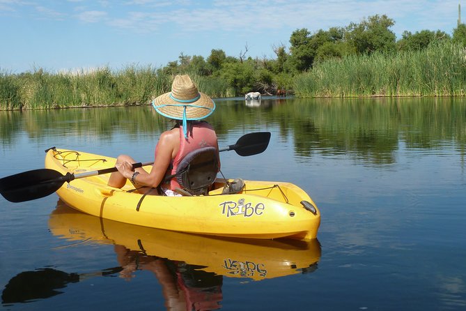 Kayaking the Salt River Foxtail Trip - The Experience: What Sets It Apart