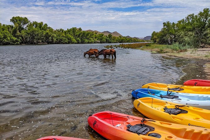 Kayaking the Salt River Foxtail Trip - Final Thoughts