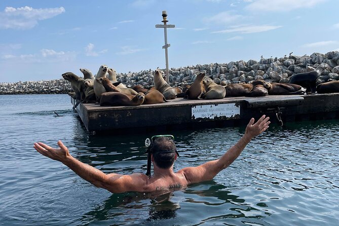 Kayaking with Sea Lions in a Calm Beautiful Harbor - Exploring the Experience: What You Can Expect