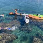 Kayaking with Sea Lions in a Calm Beautiful Harbor - Detailed Breakdown of the Tour