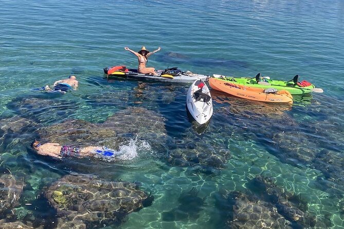 Kayaking with Sea Lions in a Calm Beautiful Harbor - Detailed Breakdown of the Tour