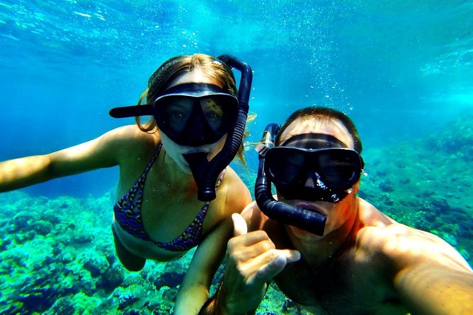 Kealakekua Bay Captain Cook Snorkel Exclusive - An Honest Breakdown of the Experience