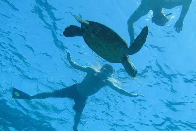 Kealakekua Bay Captain Cook Snorkel Exclusive - The Real Value of the Tour