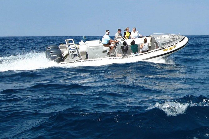 Kealakekua Bay Captain Cook Snorkel Exclusive - Final Thoughts