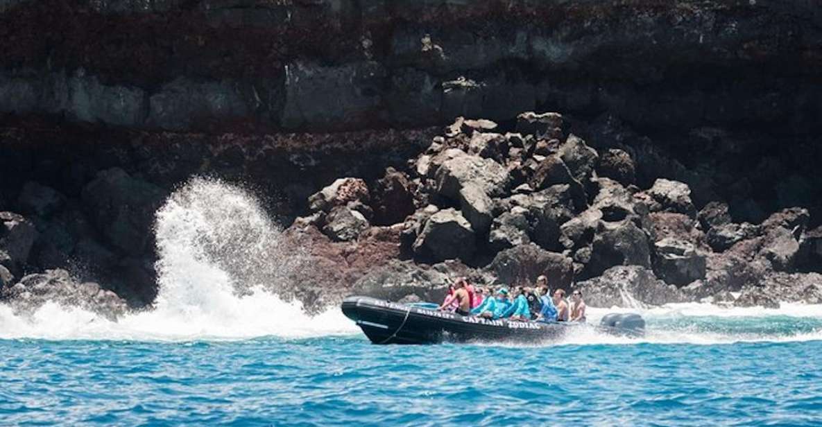 Kealakekua Bay: Snorkel and Coastal Adventure with Lunch - Key Points  