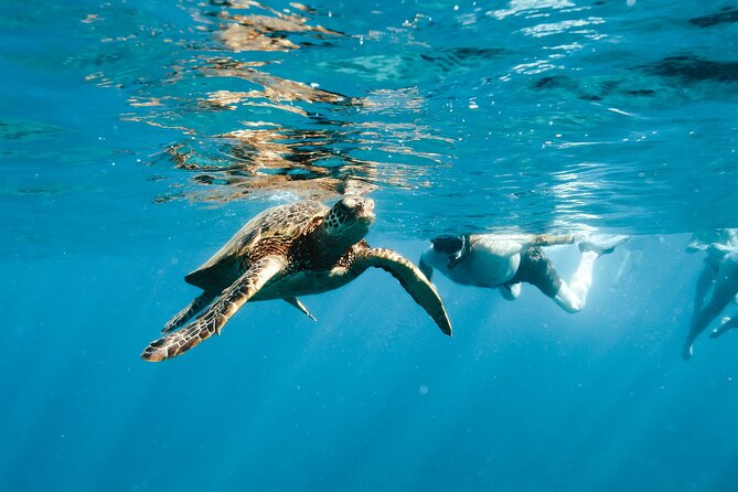 Kealakekua Bay Snorkel & Dolphin Watch In Kona - Why This Tour Stands Out