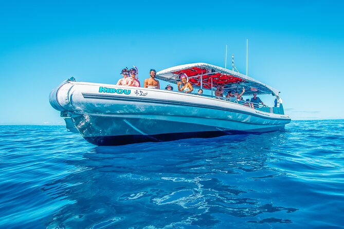 Kealakekua Bay Snorkel & Dolphin Watch In Kona - The Sum Up