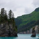 Kenai Fjords and Resurrection Bay Half-Day Wildlife Cruise - Who Will Love This Tour?