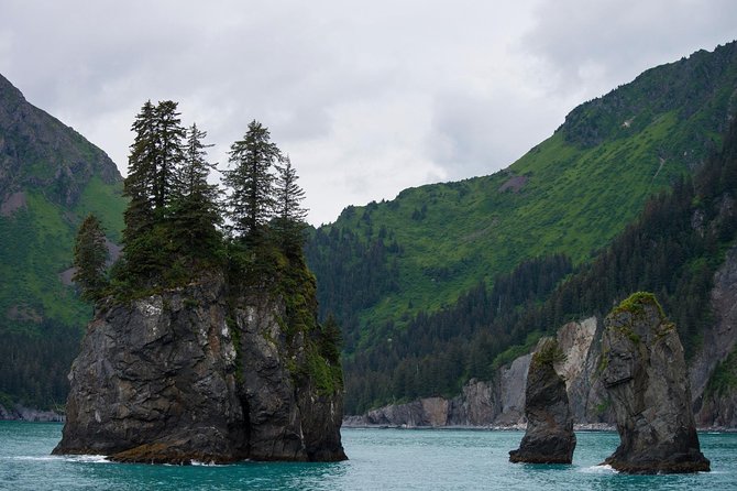 Kenai Fjords and Resurrection Bay Half-Day Wildlife Cruise - Who Will Love This Tour?
