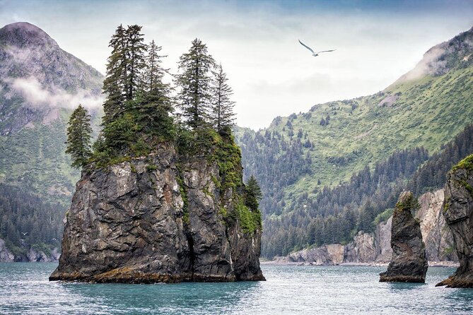 Kenai Fjords National Park Glacier & Wildlife Cruise - Final Thoughts