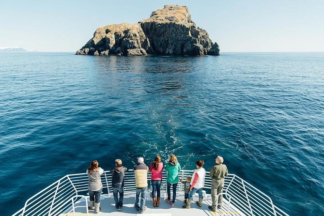 Kenai Fjords National Park Glacier & Wildlife Tour from Seward - Who Will Love This Tour?