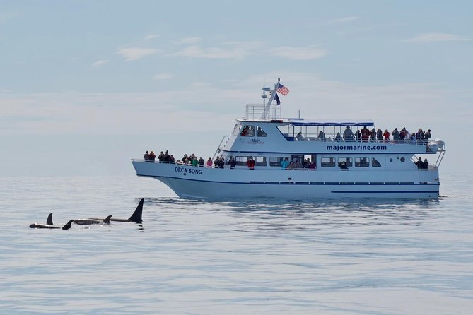 Kenai Fjords Orca Quest Cruise - Key Points
