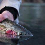 Kenai River Fishing Charter - FAQ