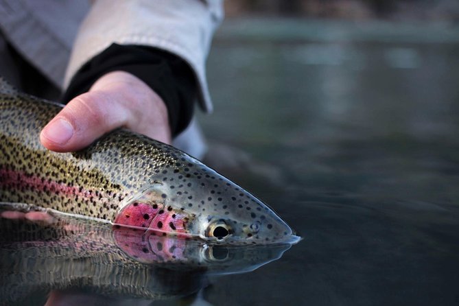 Kenai River Fishing Charter - FAQ