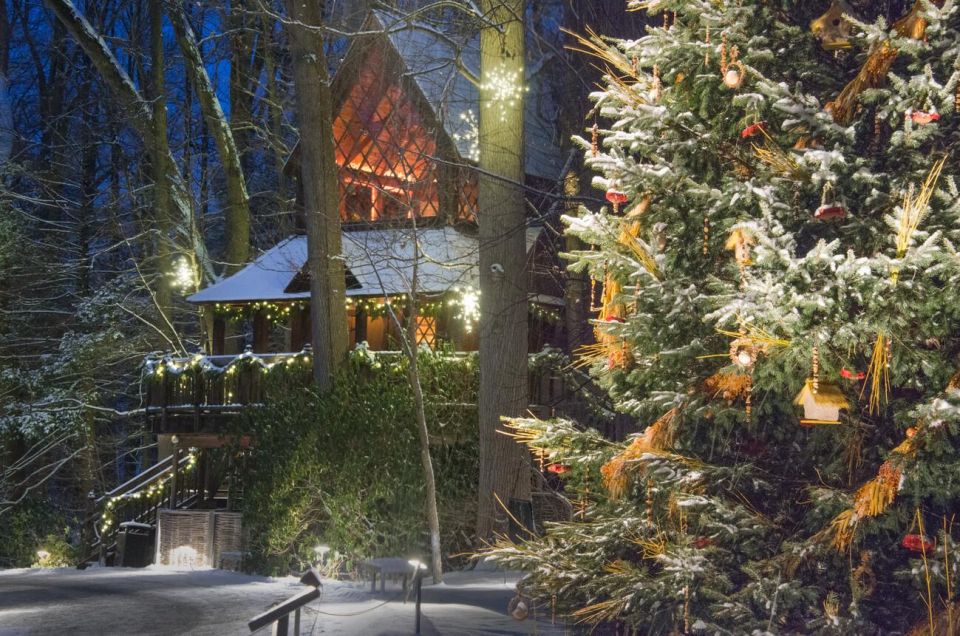 Kennett Square: Longwood Gardens Admission Ticket - An In-Depth Look at Longwood Gardens