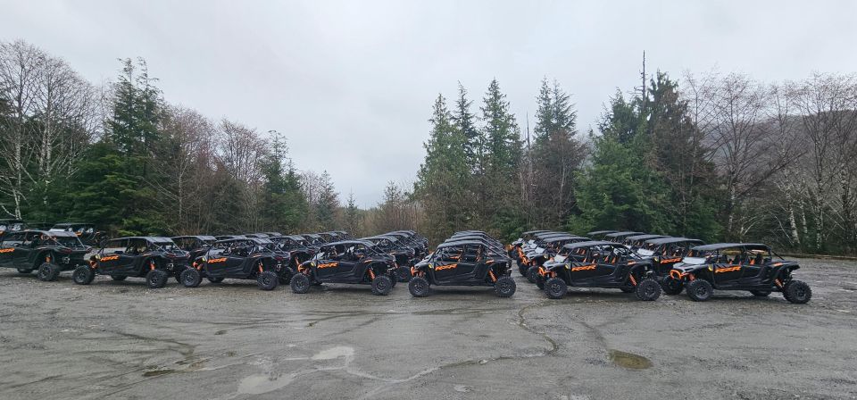 Ketchikan: Adventure Kart Expedition - A Deep Dive into the Experience