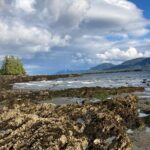 Ketchikan Alaska private tour - Key Points