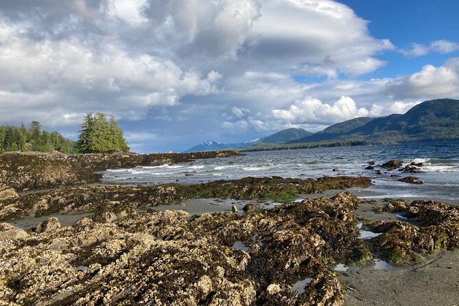 Ketchikan Alaska private tour - Key Points