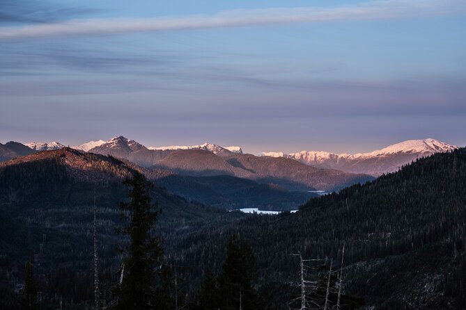 Ketchikan Backcountry Driving Tour Through the Tongass - Why This Tour Offers Great Value