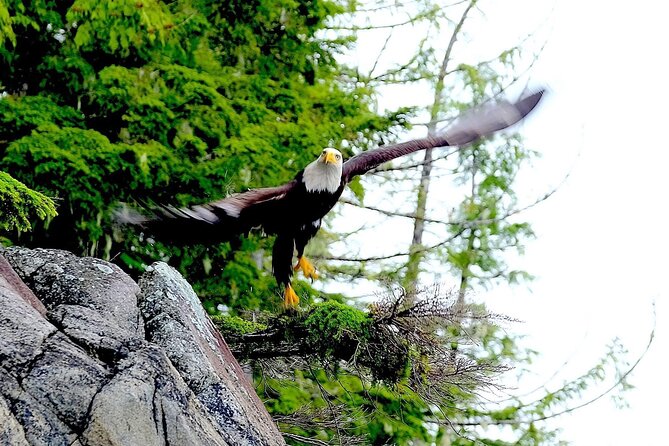 Ketchikan Electric Bike and Rain Forest Hike Ecotour - Food and Refreshments