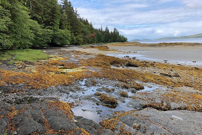 Ketchikan Electric Bike and Rain Forest Hike Ecotour - The Experience from a Traveler’s Perspective