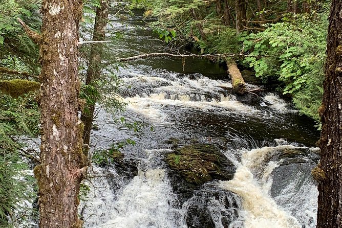 Ketchikan Exclusive Private Group Tour (Price up to 11 Passengers) - The Experience in Detail