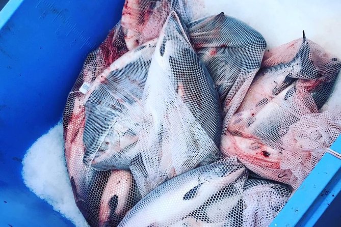 Ketchikan Fishing Charter - Who Will Love This Tour?