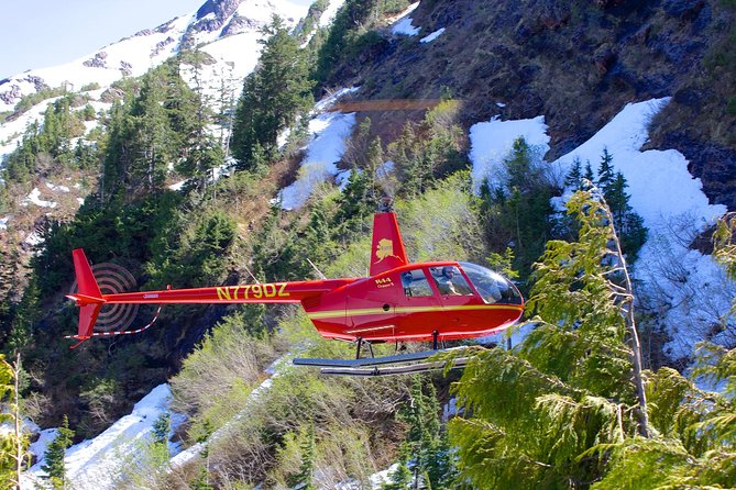 Ketchikan Helicopter Tour, Mahoney Falls - Key Points