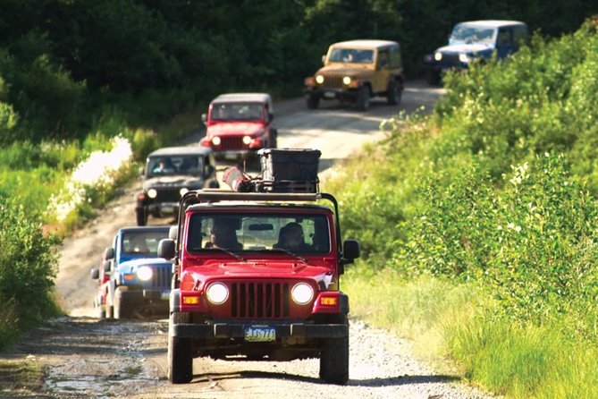 Ketchikan Jeep and Canoe Safari - A Deep Dive into the Ketchikan Jeep and Canoe Safari