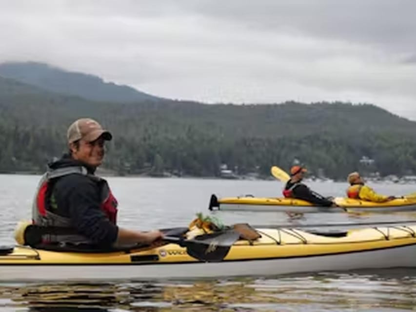 Ketchikan: Kayak Eco-Tour - The Experience: What You Can Expect