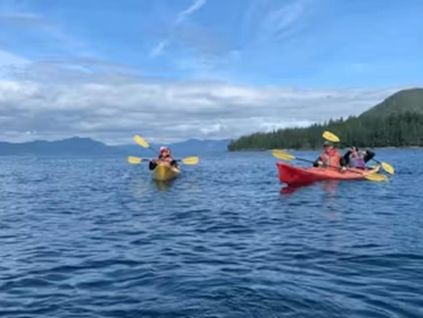 Ketchikan: Kayak Eco-Tour - Why This Tour Offers Great Value