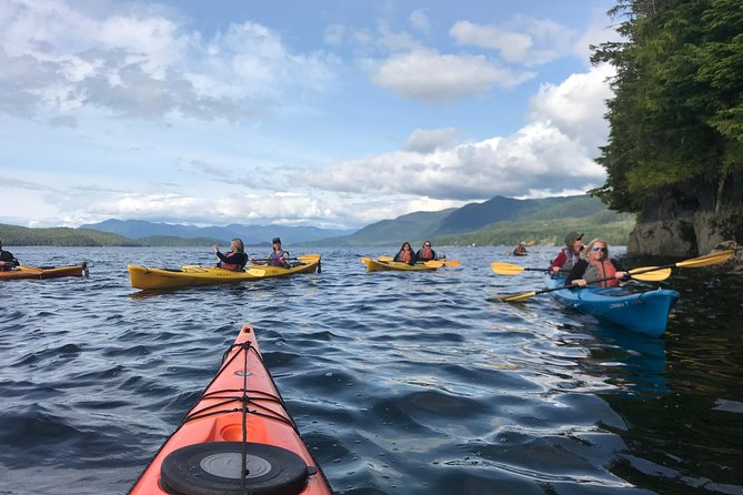 Ketchikan Kayak Eco-Tour - Concluding Thoughts: Is This Tour Worth It?