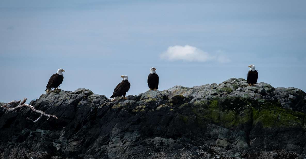 Ketchikan: Lighthouse, Totems & Eagles Excursion - The Itinerary in Detail