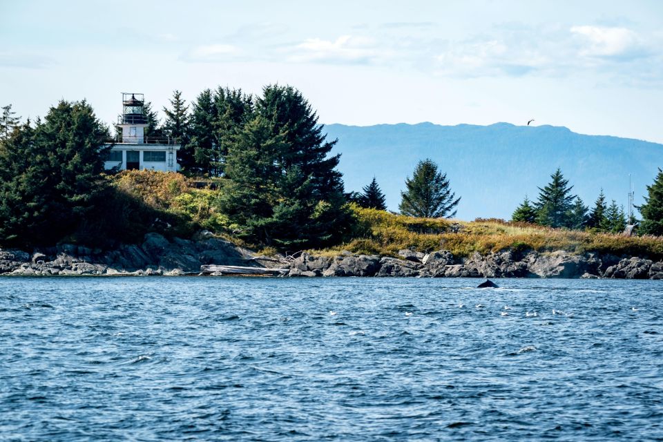 Ketchikan: Lighthouse, Totems & Eagles Excursion - Practical Considerations