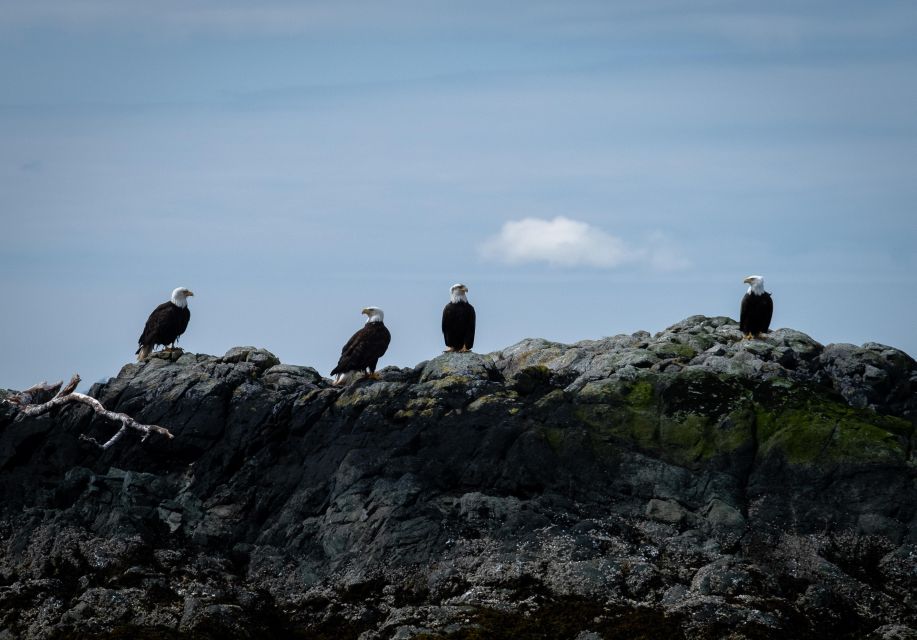 Ketchikan: Lighthouse, Totems & Eagles Excursion - The Sum Up