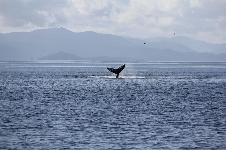 Ketchikan: Lighthouse, Totems & Eagles Excursion - FAQ