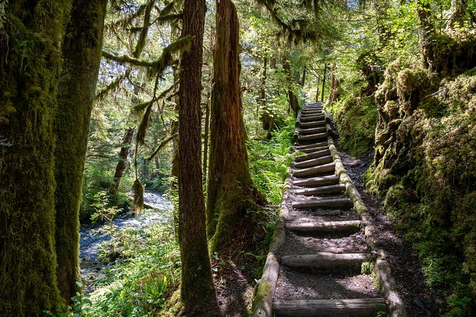 Ketchikan Magical Old-Growth Creek Trek Guided Tour - Key Points