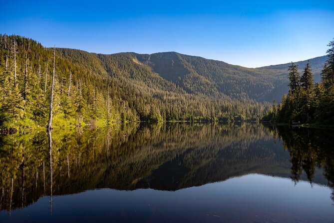 Ketchikan Mountain Lake Trek to Avalanche Chute - Why This Tour Works Well