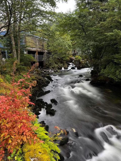 Ketchikan Photo Safari - A Closer Look at the Ketchikan Photo Safari