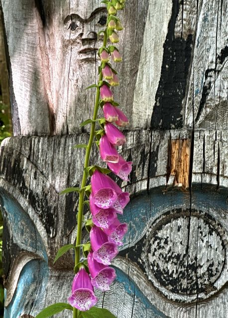 Ketchikan Photo Safari - Who Will Love This Tour?