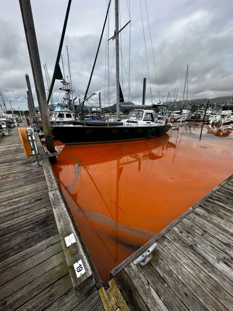 Ketchikan Photo Safari - Final Thoughts