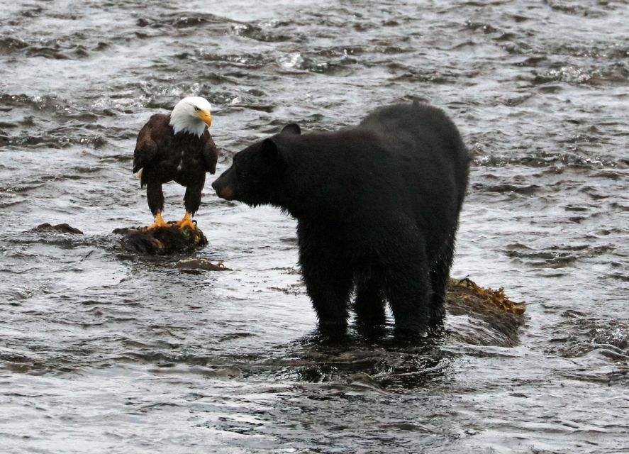 Ketchikan: Potlatch Park, City and Wildlife Private Van Tour - FAQ