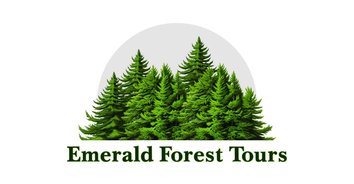 Ketchikan: Private Tour suitable for all ages! - What to Expect from Your Private Ketchikan Tour