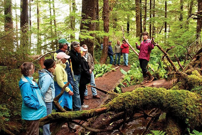 Ketchikan Rainforest Canoe and Nature Walk - A Deep Dive into the Experience