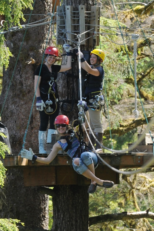 Ketchikan: Rainforest Canopy & Zipline Adventure - An Authentic Look at the Ketchikan Rainforest Zipline