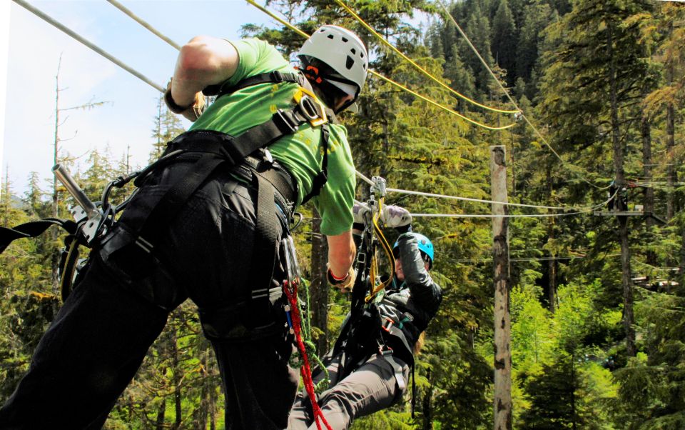 Ketchikan: Rainforest Canopy & Zipline Adventure - The Sum Up
