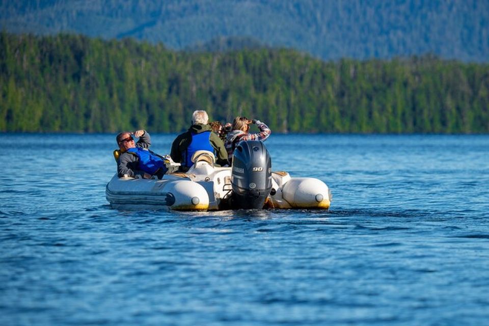 Ketchikan: Scenic Drive & George Inlet Fjords Zodiac Cruise - Cruising the George Inlet Fjords