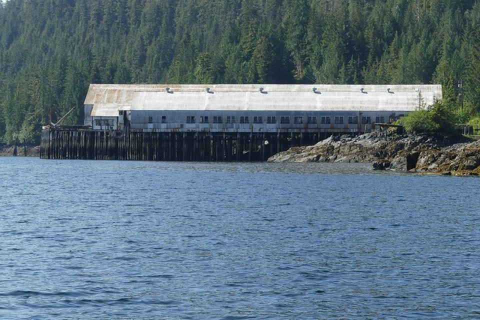 Ketchikan: Scenic Drive & George Inlet Fjords Zodiac Cruise - Who Will Love This Experience?